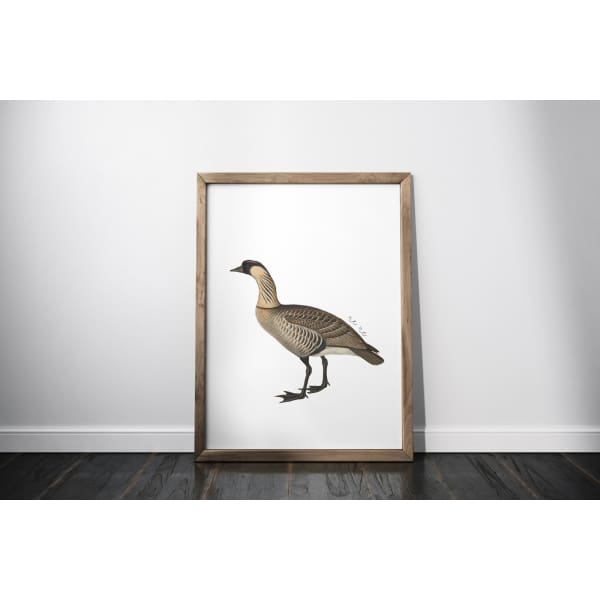 Hawaii state bird | Nene | wanderlust gifts and home decor