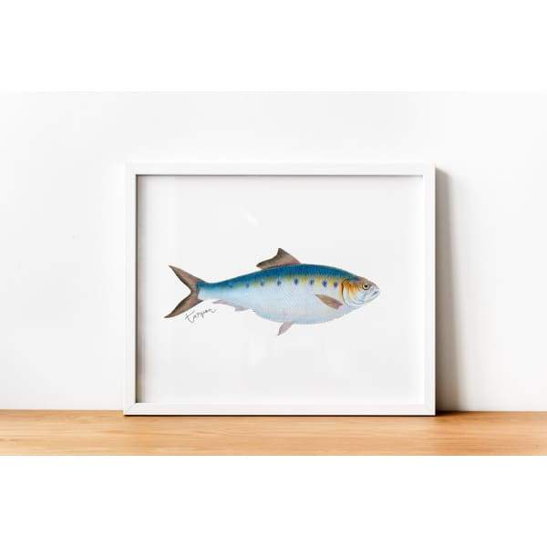 Massachusetts state fish | Atlantic Cod | wanderlust gifts and home decor