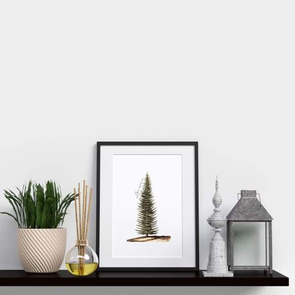 Alaska state tree | Sitka Spruce | wanderlust gifts and home decor