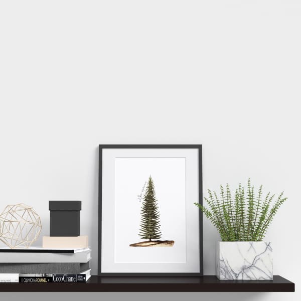 Alaska state tree | Sitka Spruce | wanderlust gifts and home decor