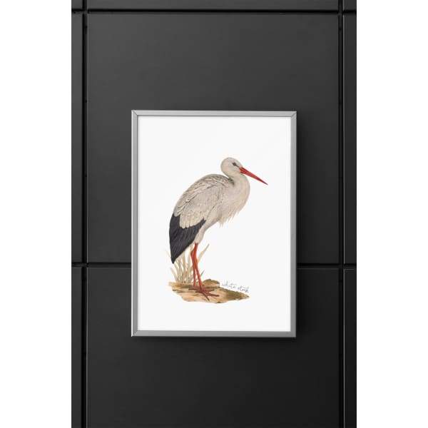 Belarus national bird | White Stork | wanderlust gifts and home decor