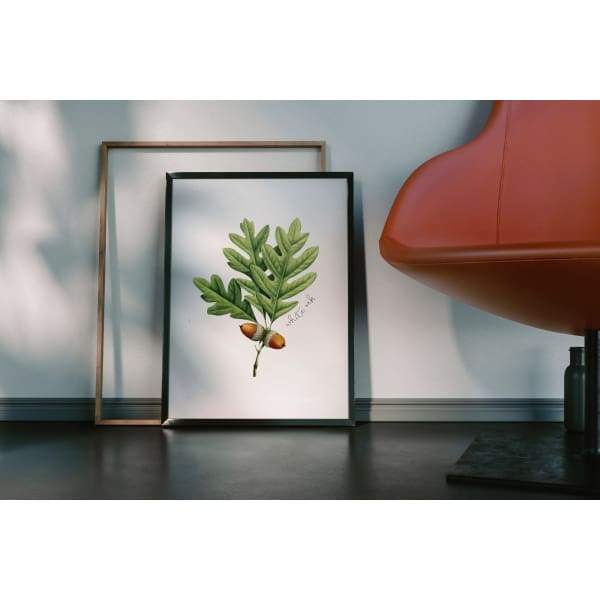 Connecticut state tree | White Oak | wanderlust gifts and home decor