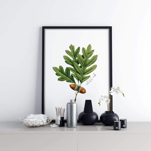 Connecticut state tree | White Oak | wanderlust gifts and home decor