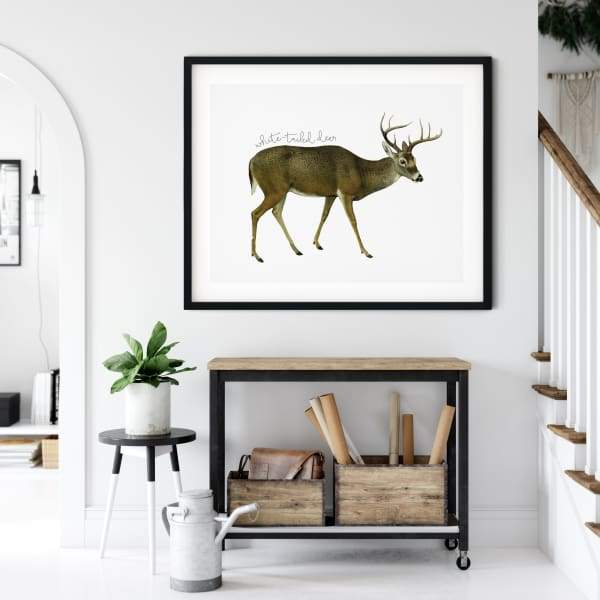 Georgia state animal | White-tailed Deer | wanderlust gifts and home decor