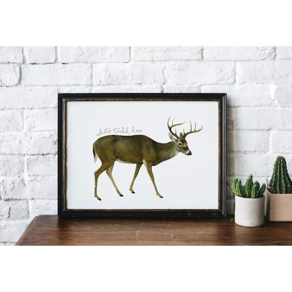 Nebraska state animal | White-tailed Deer | wanderlust gifts and home decor