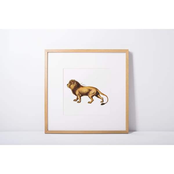 Netherlands national animal | Lion | wanderlust gifts and home decor
