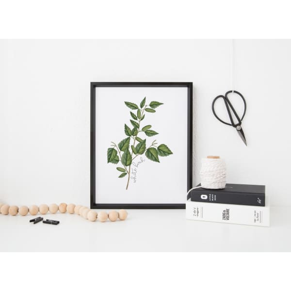 New Hampshire state tree | White Birch | wanderlust gifts and home decor