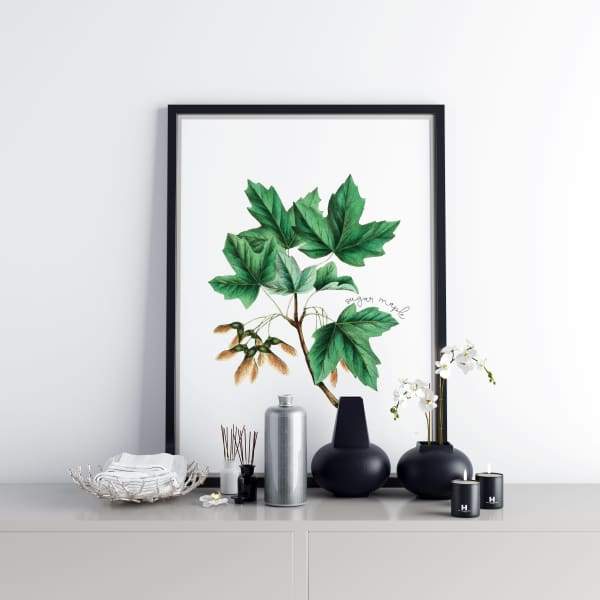 New York state tree | Sugar Maple | wanderlust gifts and home decor