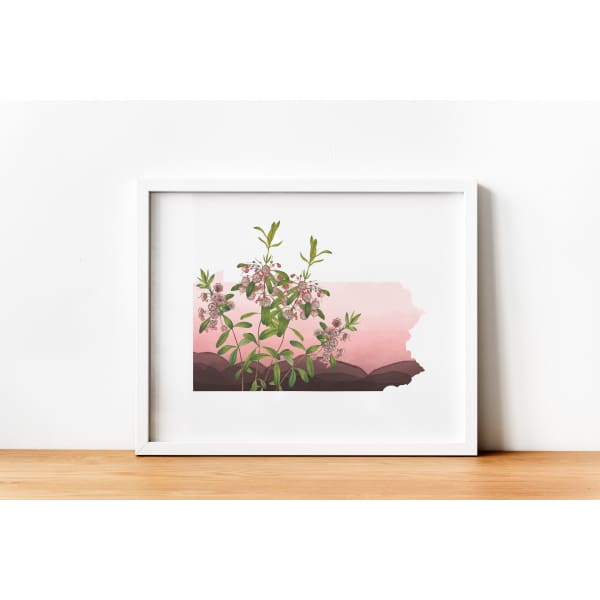 Pennsylvania Mountain Laurel | State Flower Series | wanderlust gifts ...