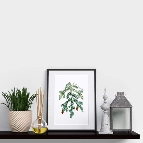 Pennsylvania state tree | Eastern Hemlock | wanderlust gifts and home decor