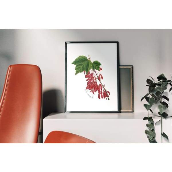 Rhode Island state tree | Red Maple | wanderlust gifts and home decor