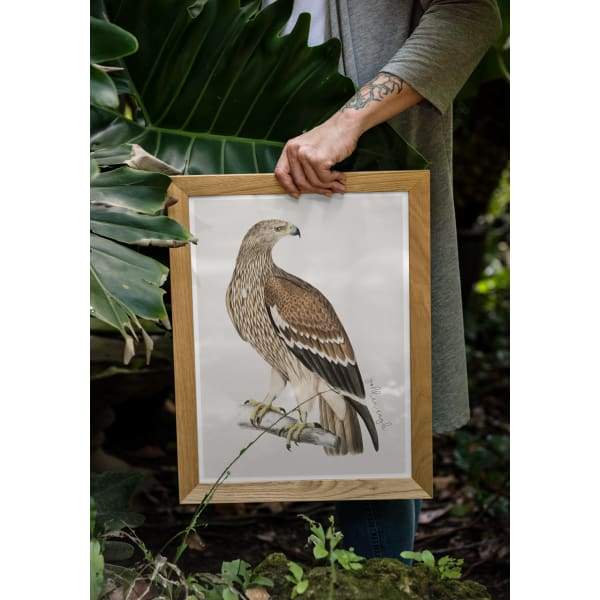 Scotland national bird | Golden Eagle | wanderlust gifts and home decor