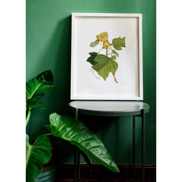 Tennessee state tree | Tulip Poplar | wanderlust gifts and home decor